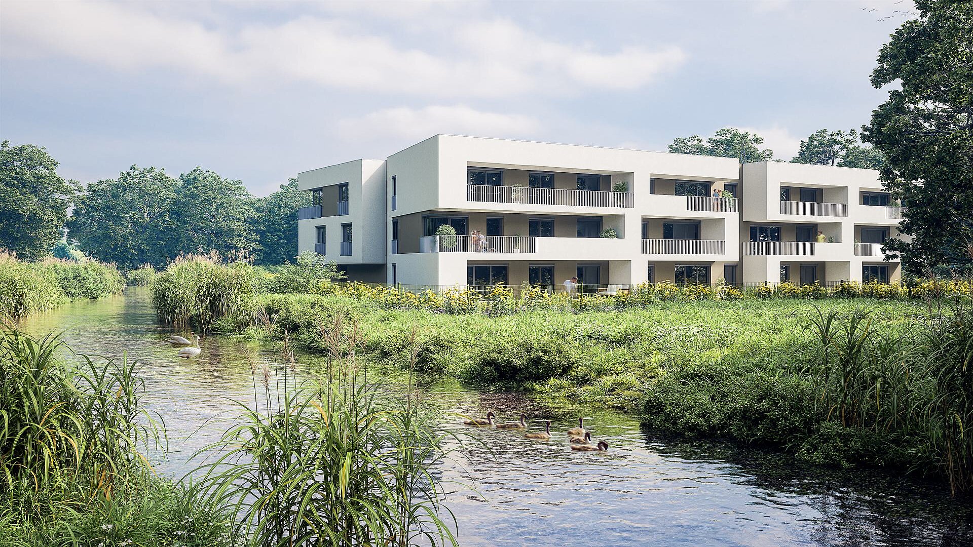 ST. PÖLTEN XXI/2: EG Top 1